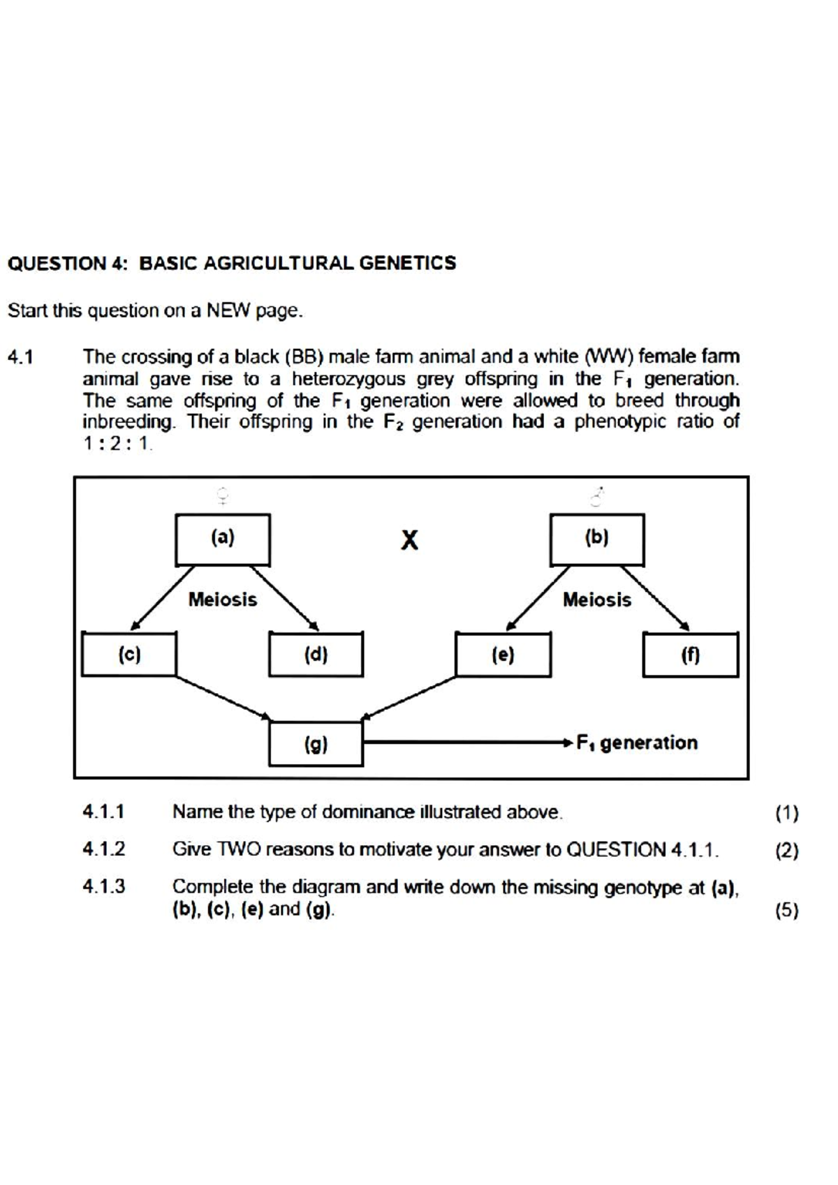 Agric Revision Notes for G12: Basic Agricultural Genetics Guide - Studocu