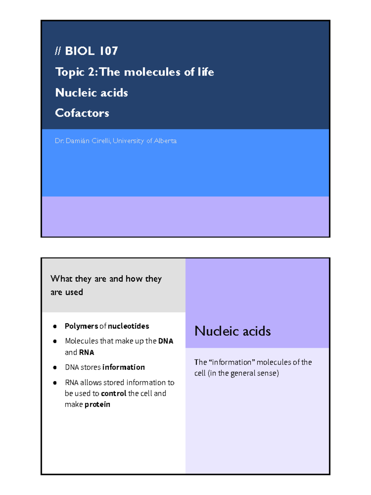 BIOL 107: Nucleic Acids & Cofactors - Molecules of Life Overview - Studocu