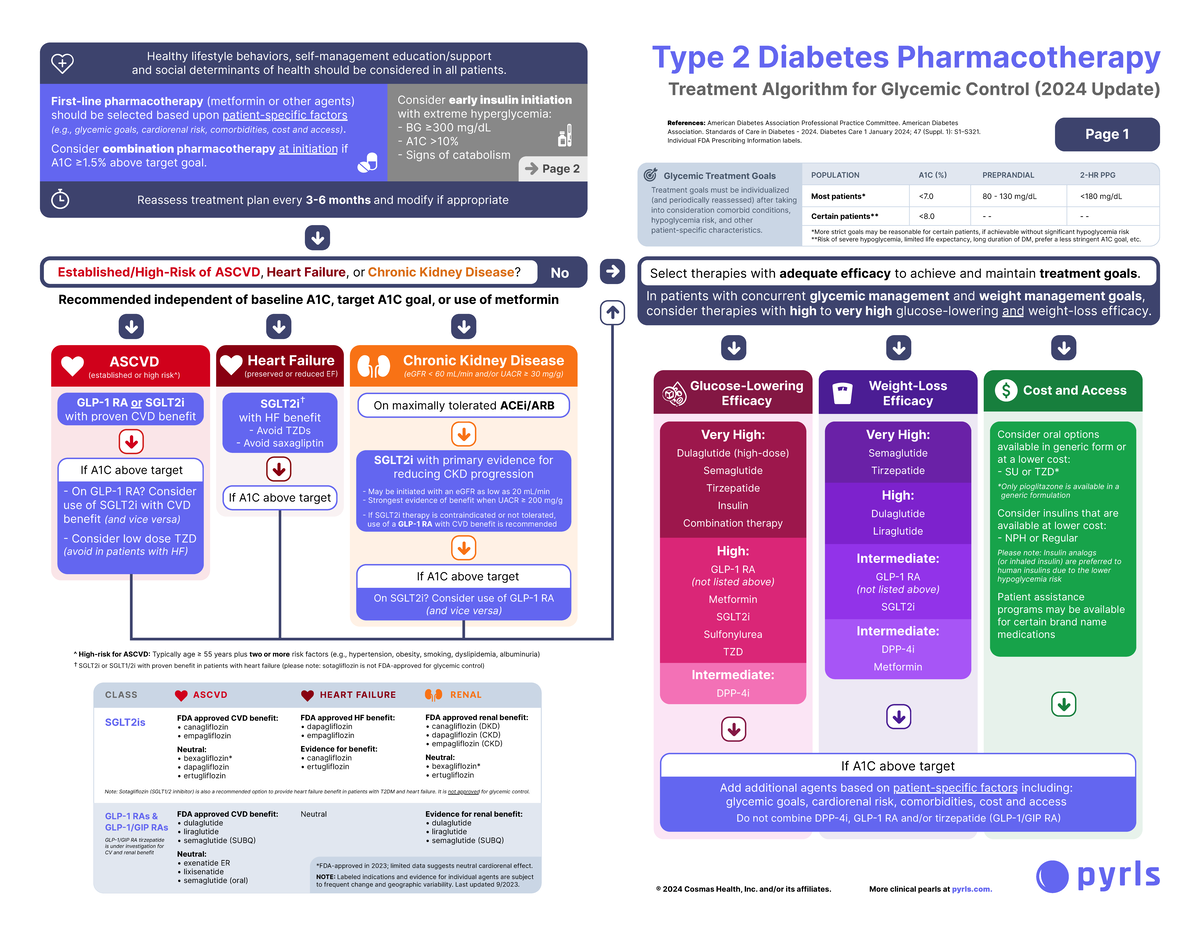 2024 T2DM Pharmacotherapy Chart: Key Insights and Guidelines - Studocu