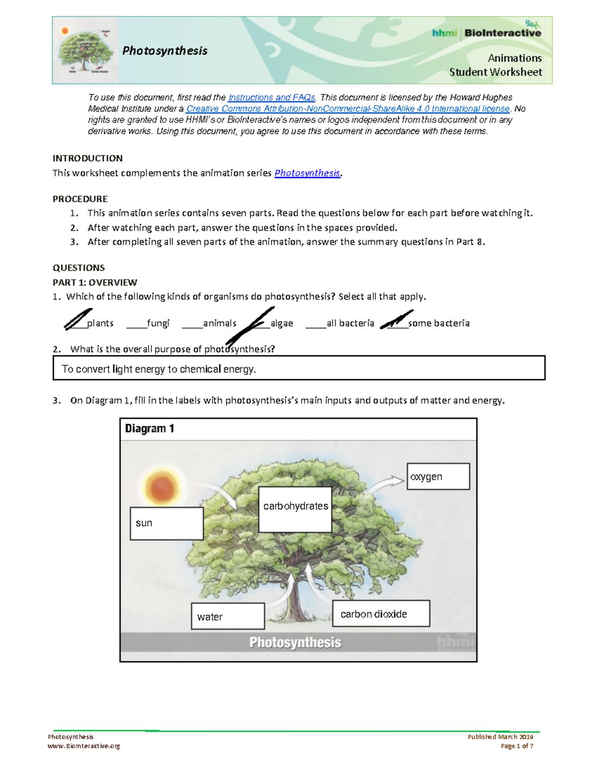 Photosynthesis Biointeractive - Photosynthesis Published March 2019 ...