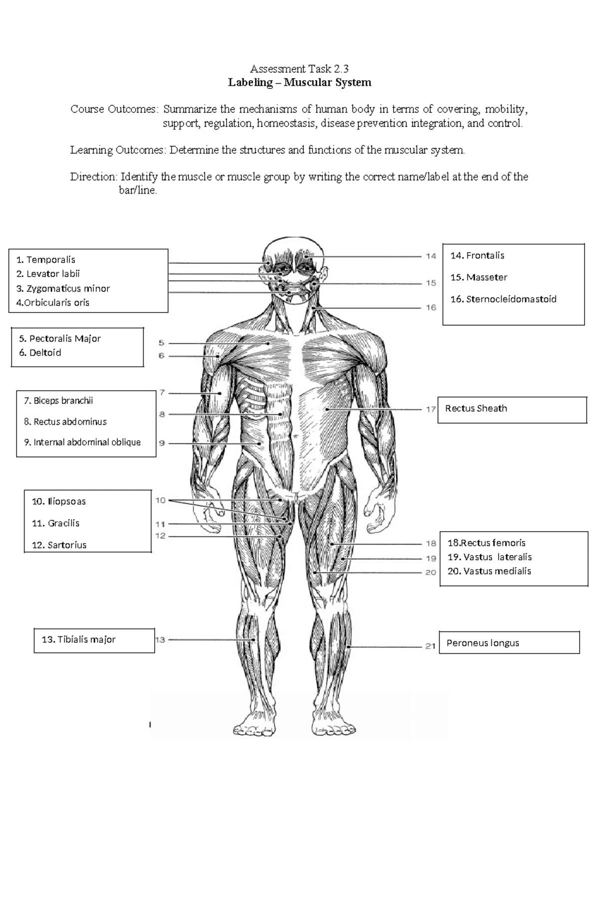 ZOO 3L Activity 2: Microscope Parts & Anatomical Positions Guide - Studocu