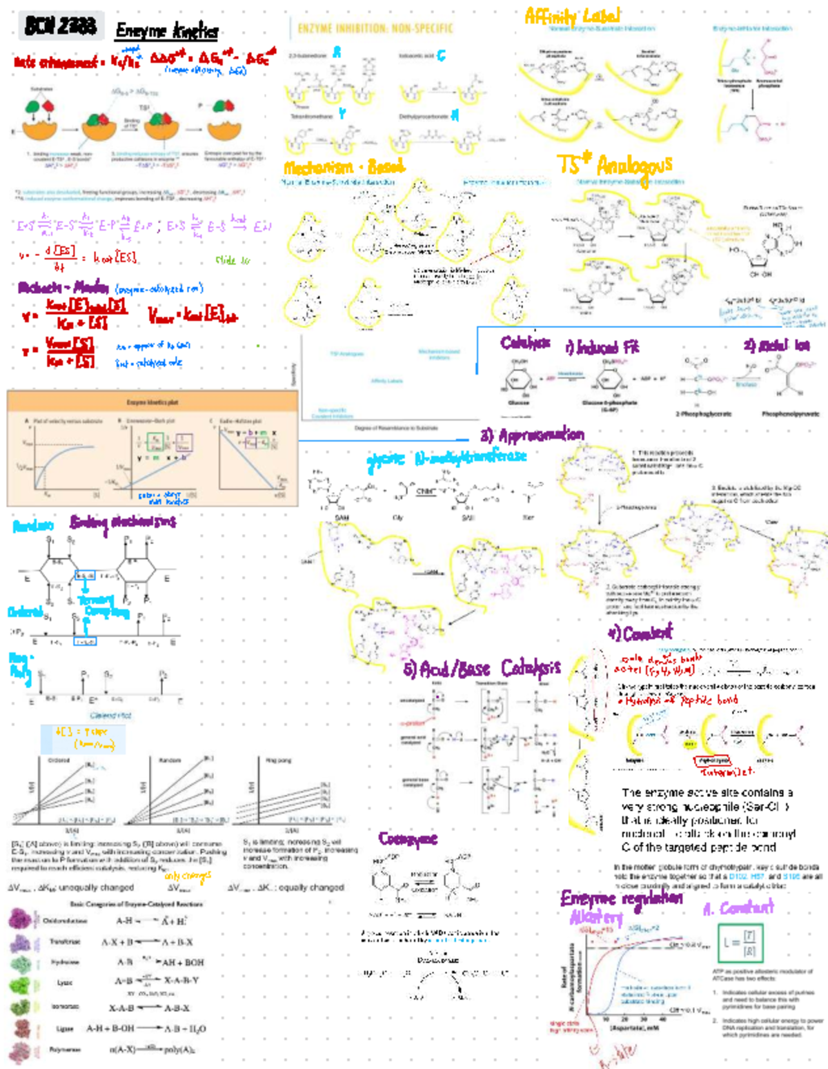CS BCH2333 Biochemistry Cheat Sheet: Enzyme Kinetics & Catalysis - Studocu