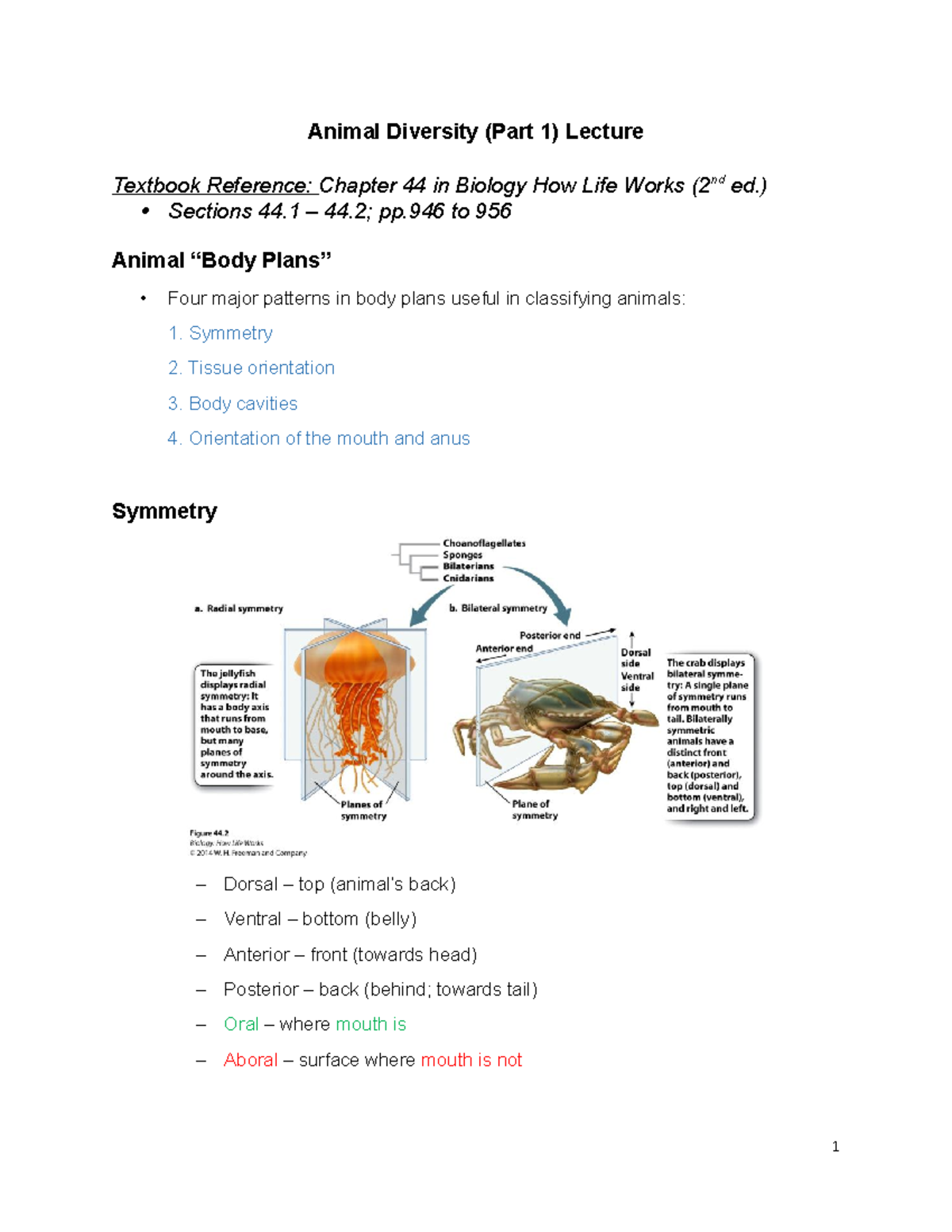 CH 44 Animal Diversity Pt 1 WF Notes W2017 - Animal Diversity (Part 1 ...