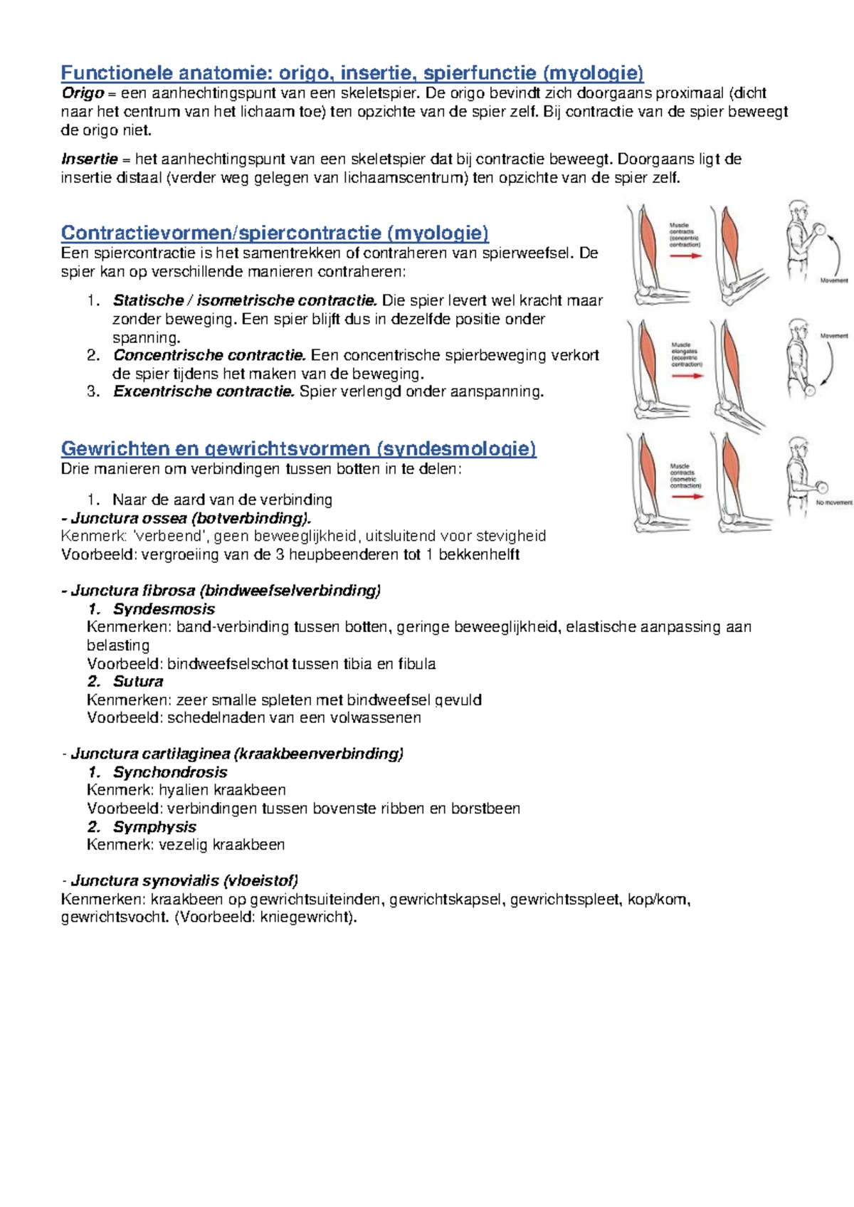 Anatomie van de Wervelkolom: Functies en Vezelsystemen - Studeersnel