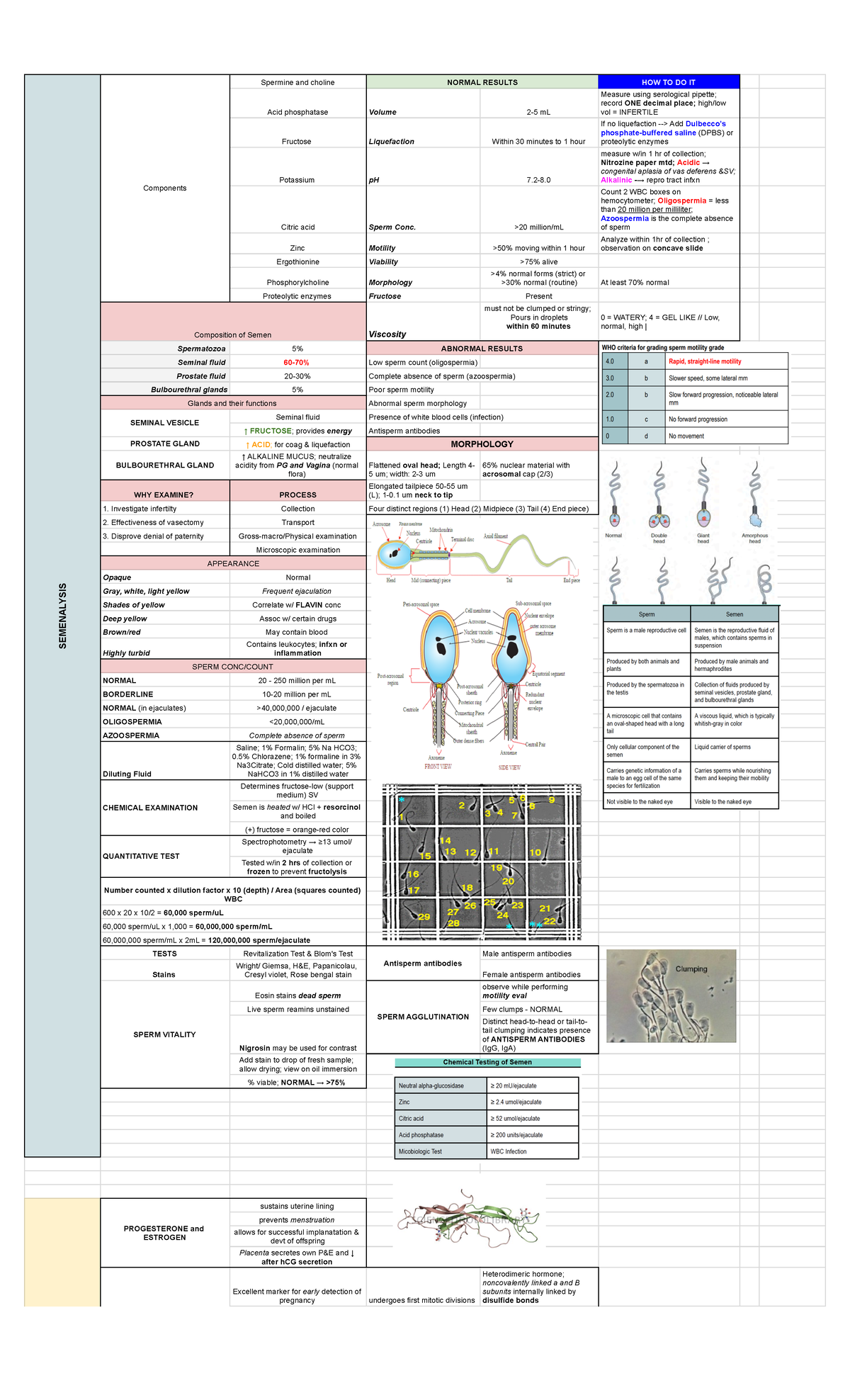 Cramsheet - Semen, CSF, h CG - SEMENALYSIS Components Spermine and ...