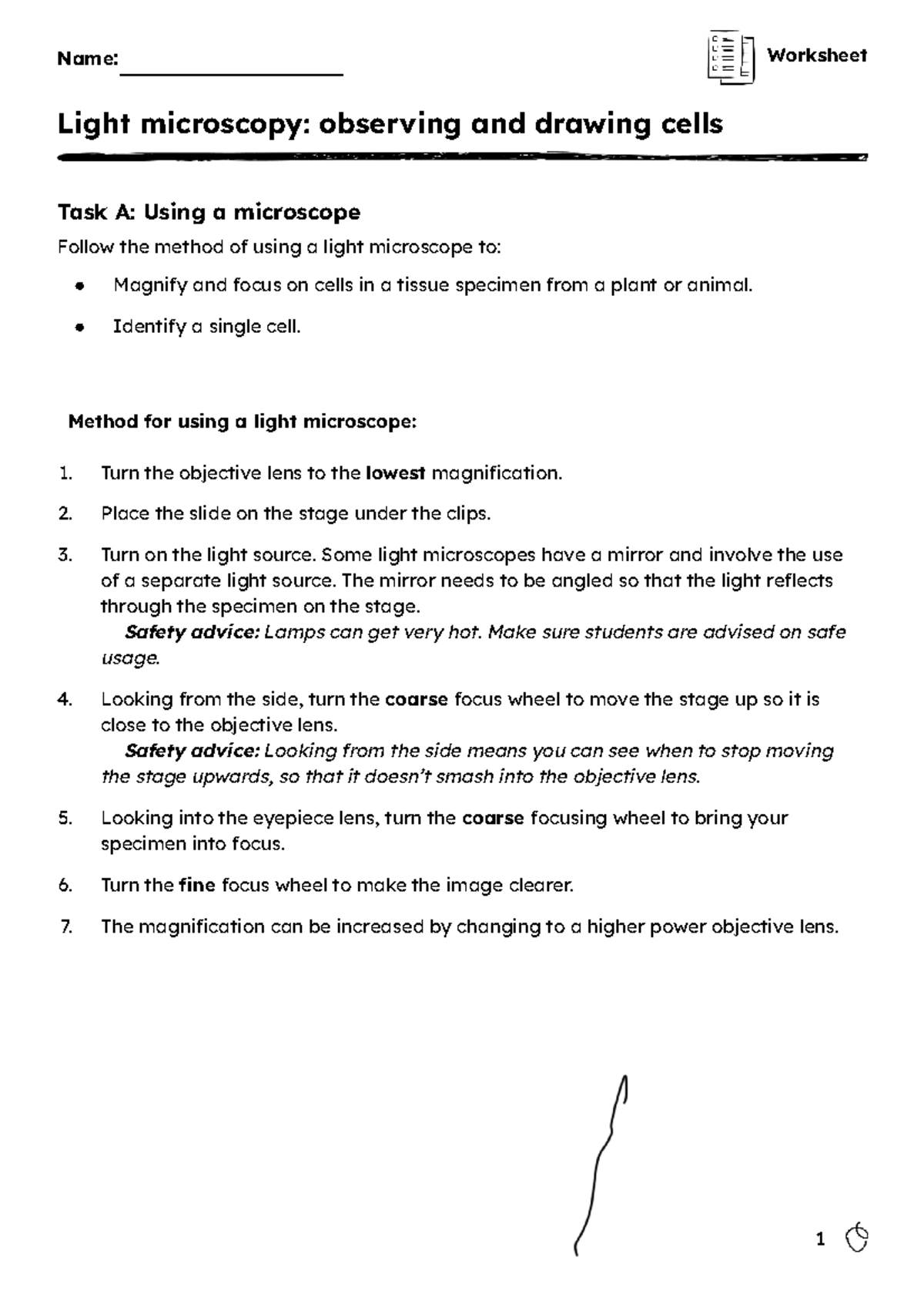 Light Microscopy Worksheet: Observing & Drawing Cells (Task A & B ...
