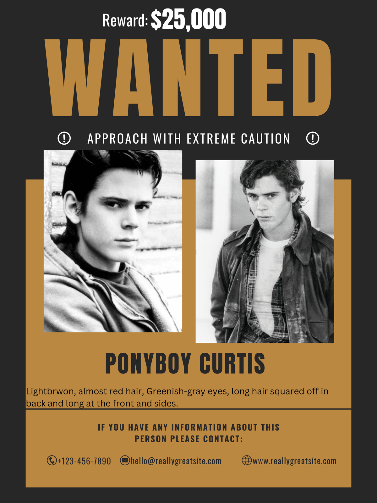 The Outsiders wanted posters - WANTED PONYBOY CURTIS I F Y O U H A V E ...