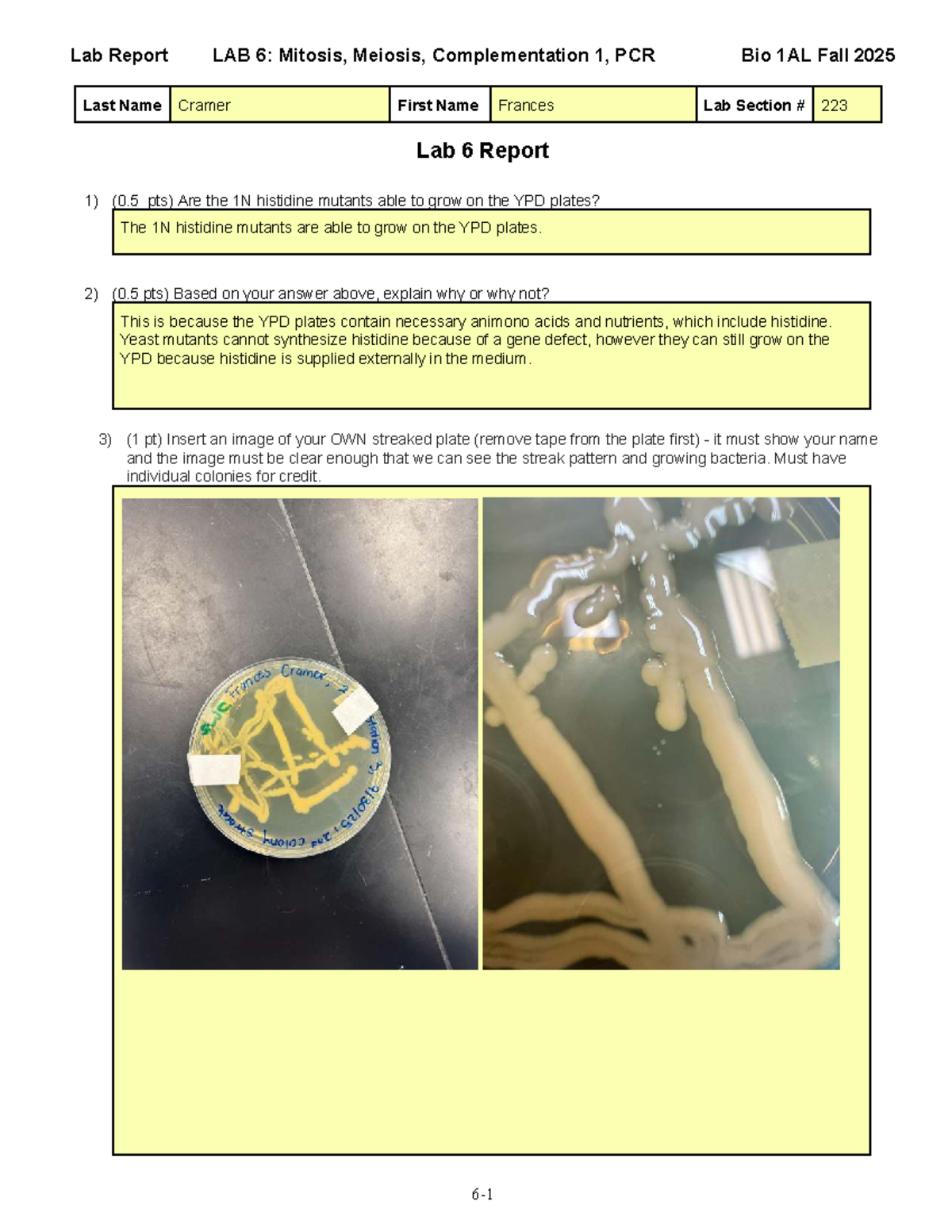 Lab 6 Report: Mitosis, Meiosis, Complementation 1 & PCR - Bio 1AL Fall ...