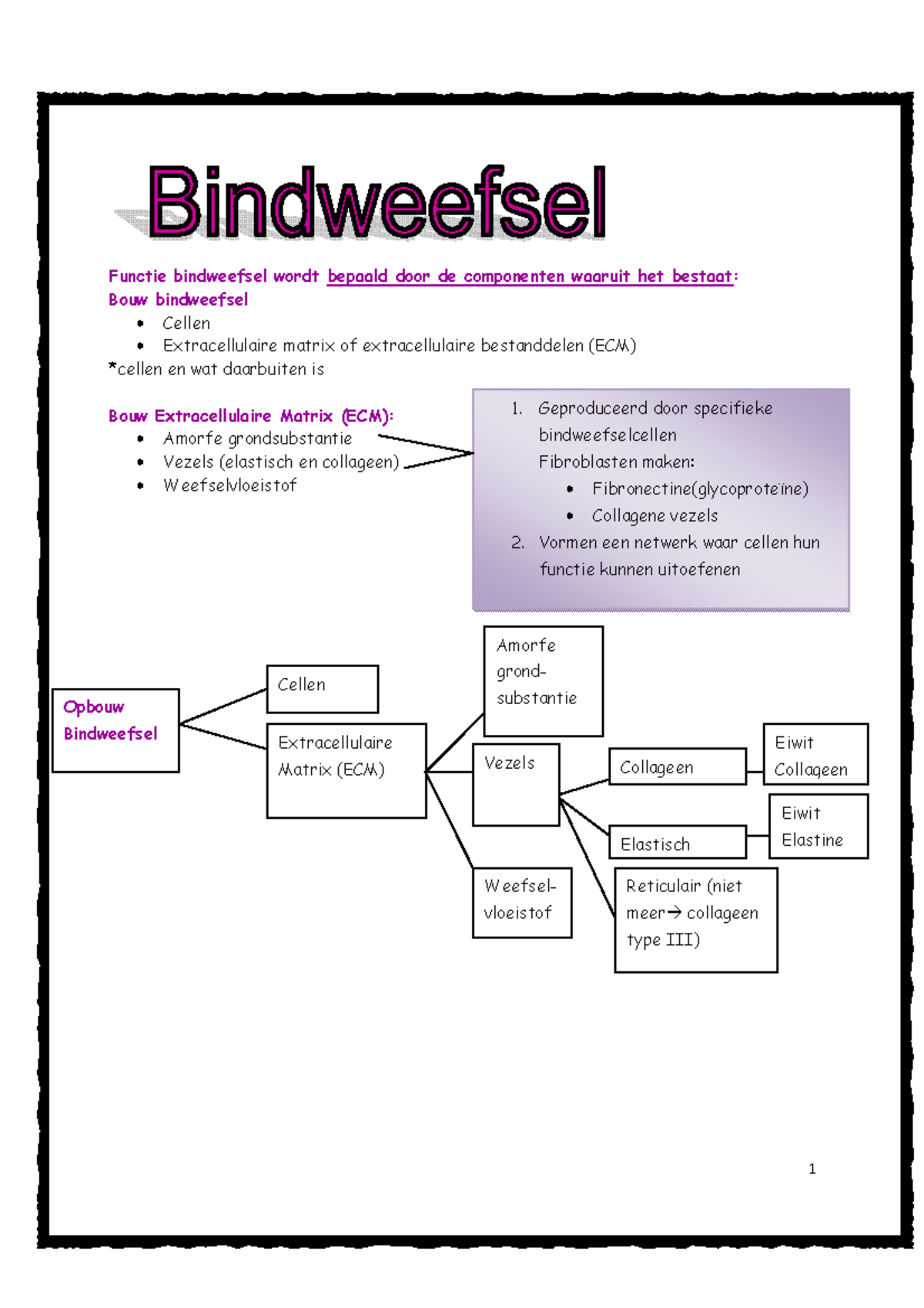 Samenvatting van Bindweefsel en Extracellulaire Matrix Functies ...