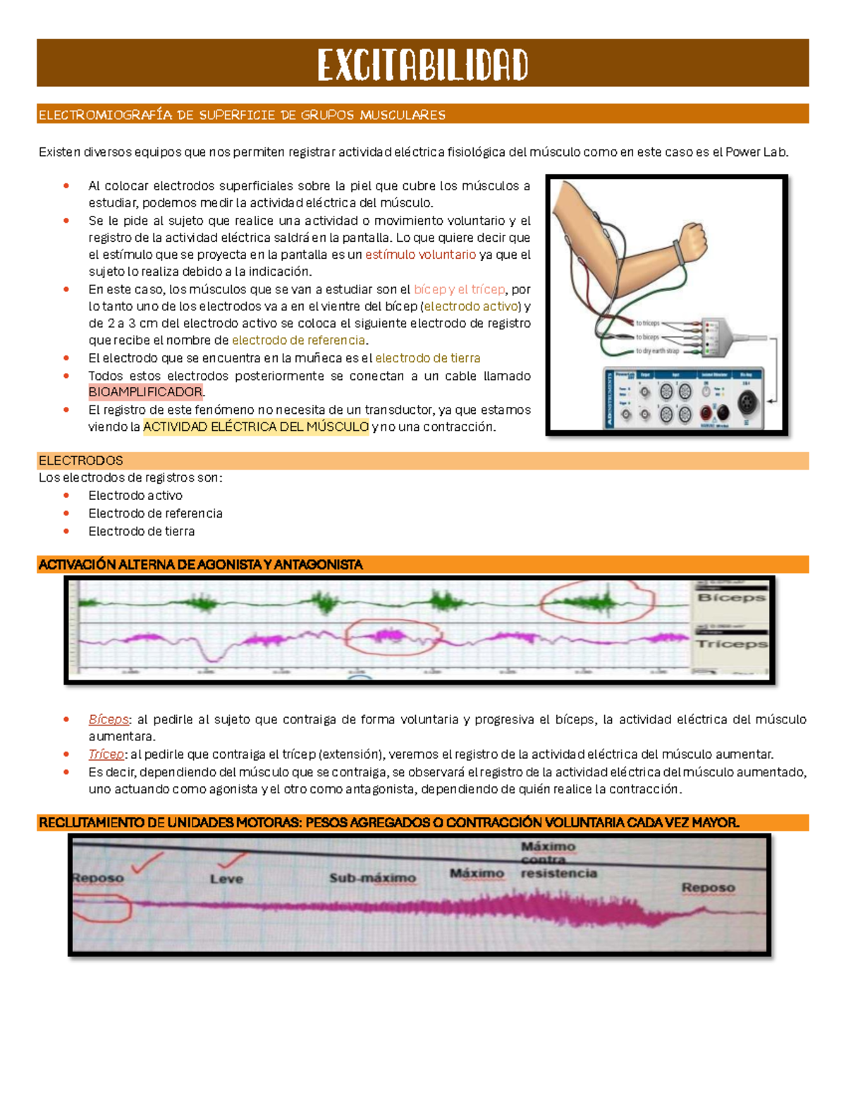 Excitabilidad y Electromiografía de Grupos Musculares (ELECTROMIOGRAFÍA ...