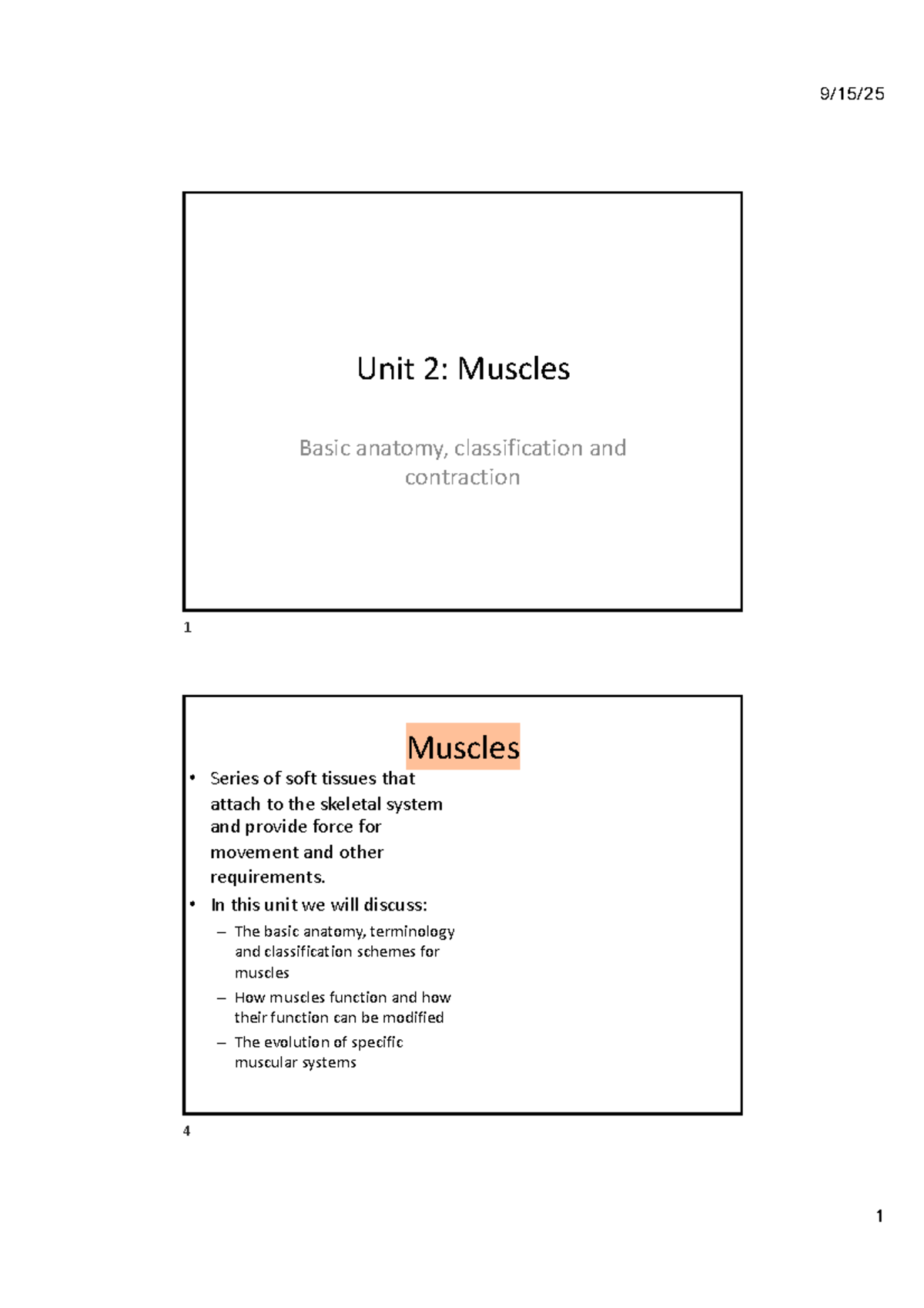 IB303 - Lecture 7: Anatomy, Classification, and Function of Muscles ...