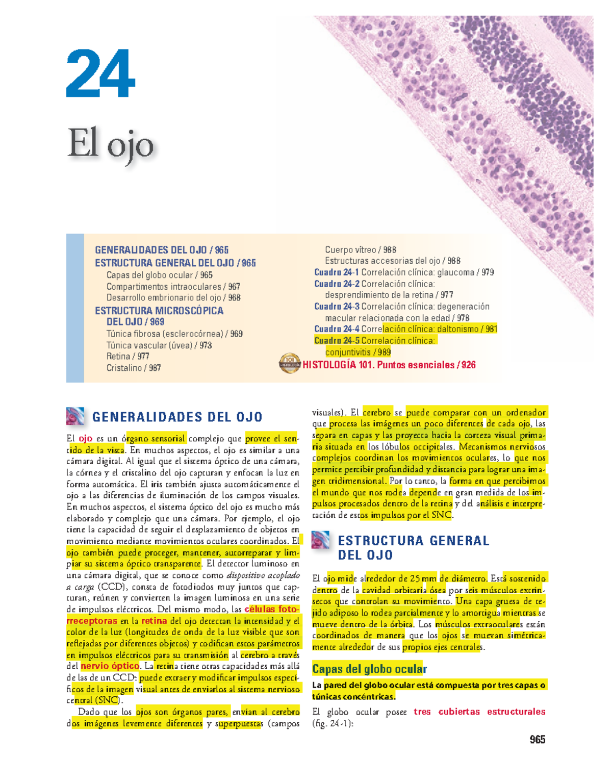 Ojo roos - PAgina del ross con pequeñas partes resaltadas de lo las ...
