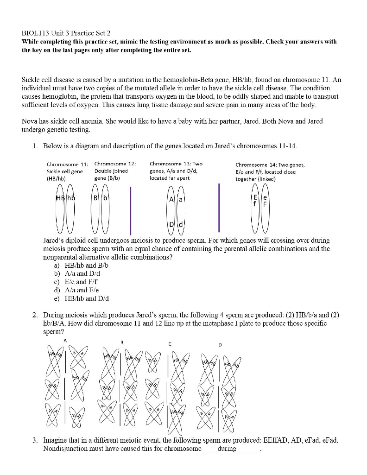 BIOL113 Unit 3 Practice Set 2 - Sickle Cell Genetics & Meiosis - Studocu