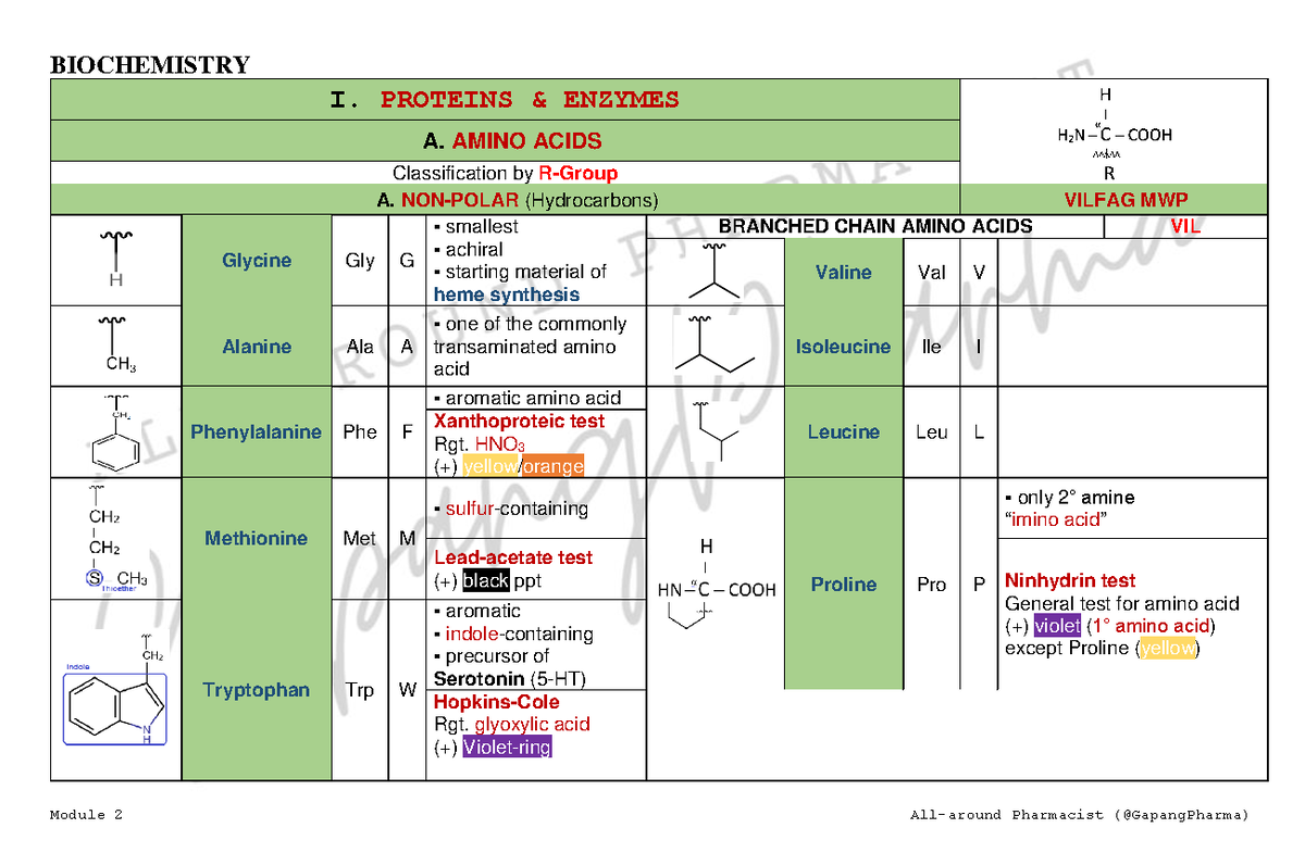 M2 - Pneumonics pharma - BIOCHEMISTRY I. PROTEINS & ENZYMES A. AMINO ...