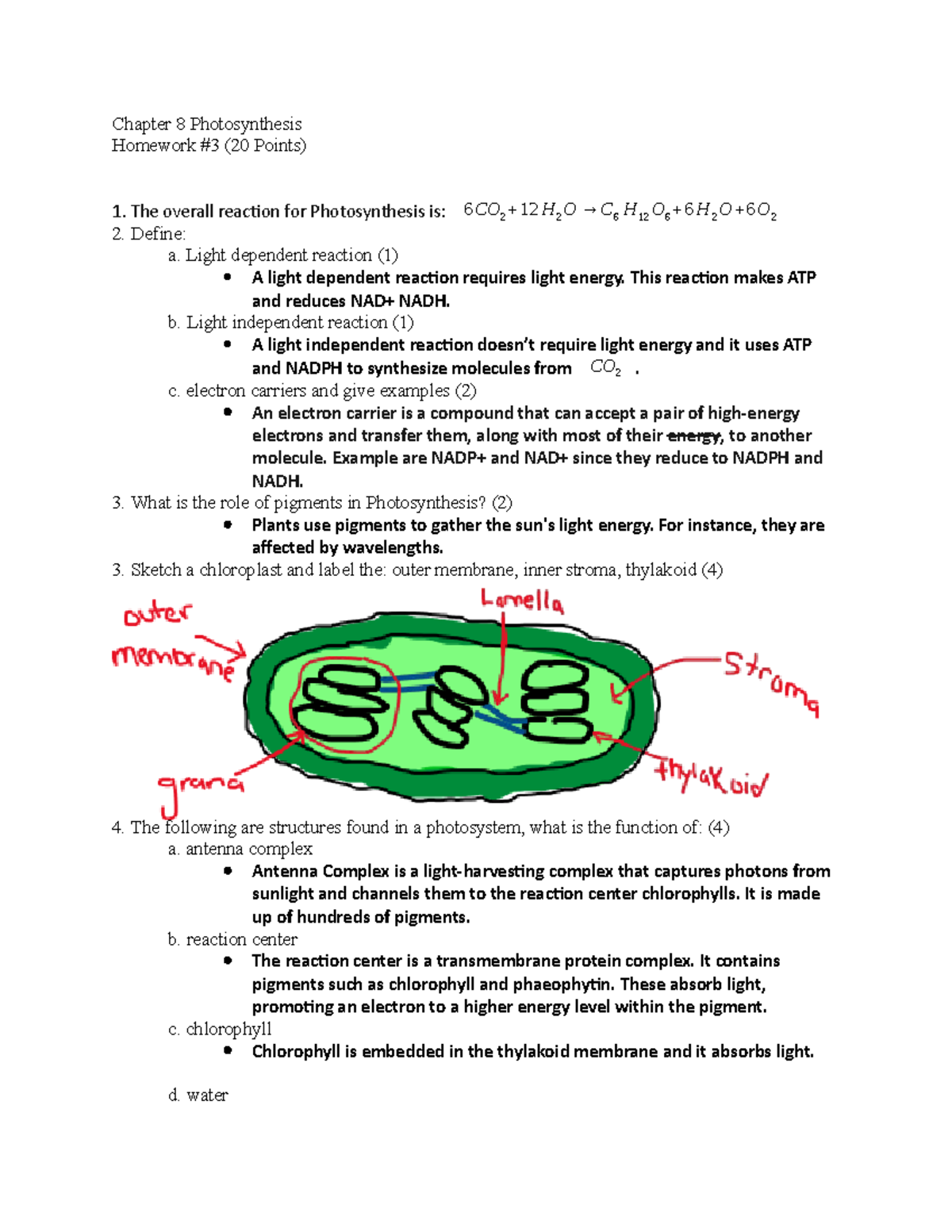 Bio2 Chapter 8 - Photosynthesis Overview and Key Concepts - Studocu