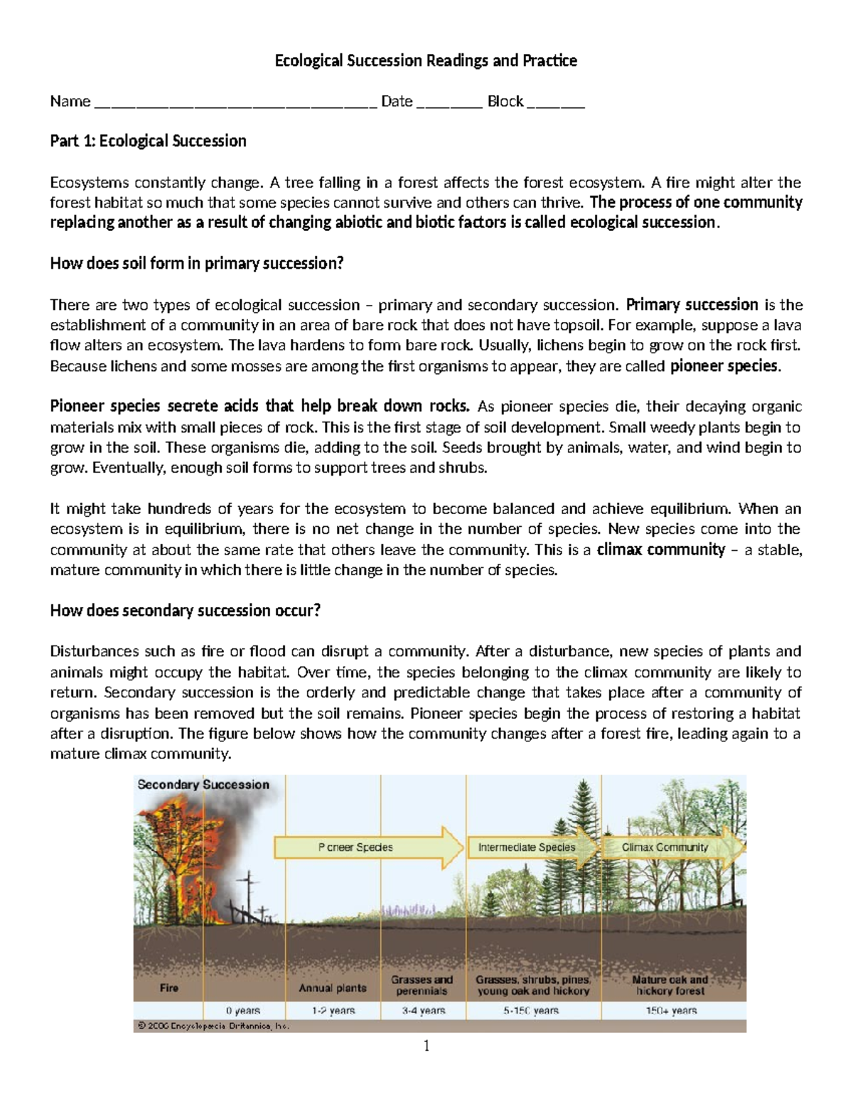 Ecological succession-KEY 2 - Ecological Succession Readings and ...