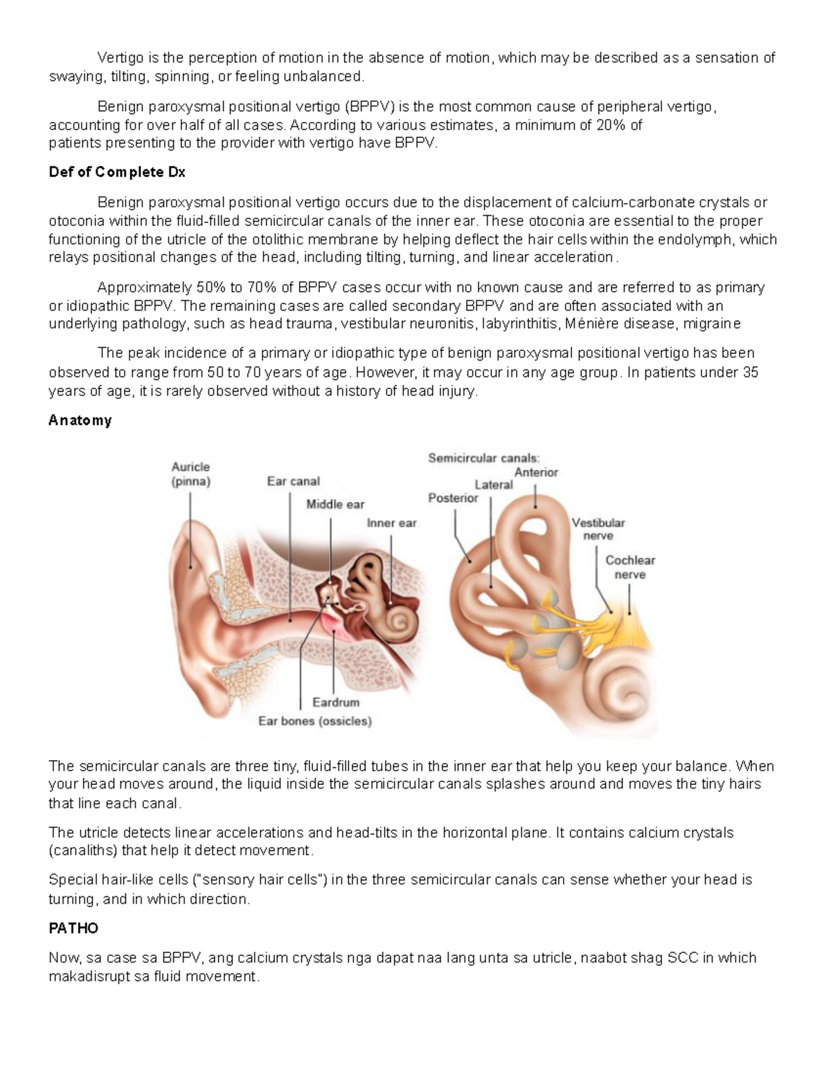 BPPV Case Study: Understanding Benign Paroxysmal Positional Vertigo ...