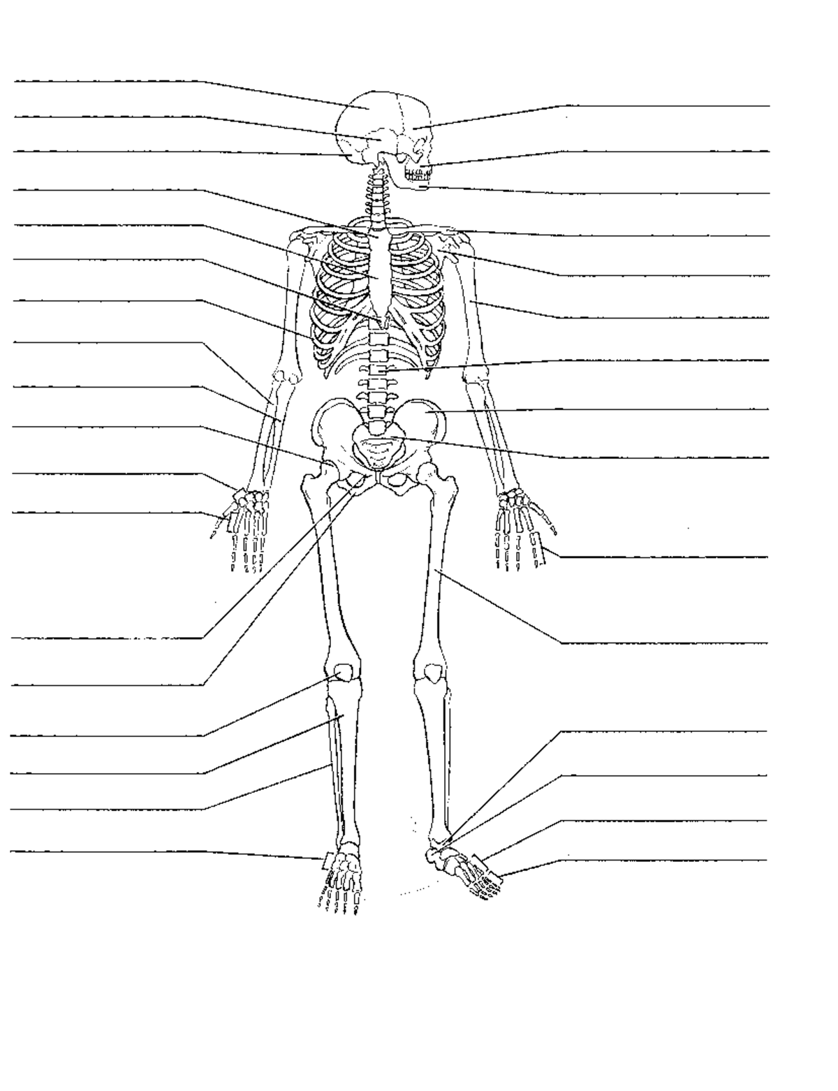 14. Skeletal system diagrams - unlabelled - Key: 1. carotid canal 2 ...