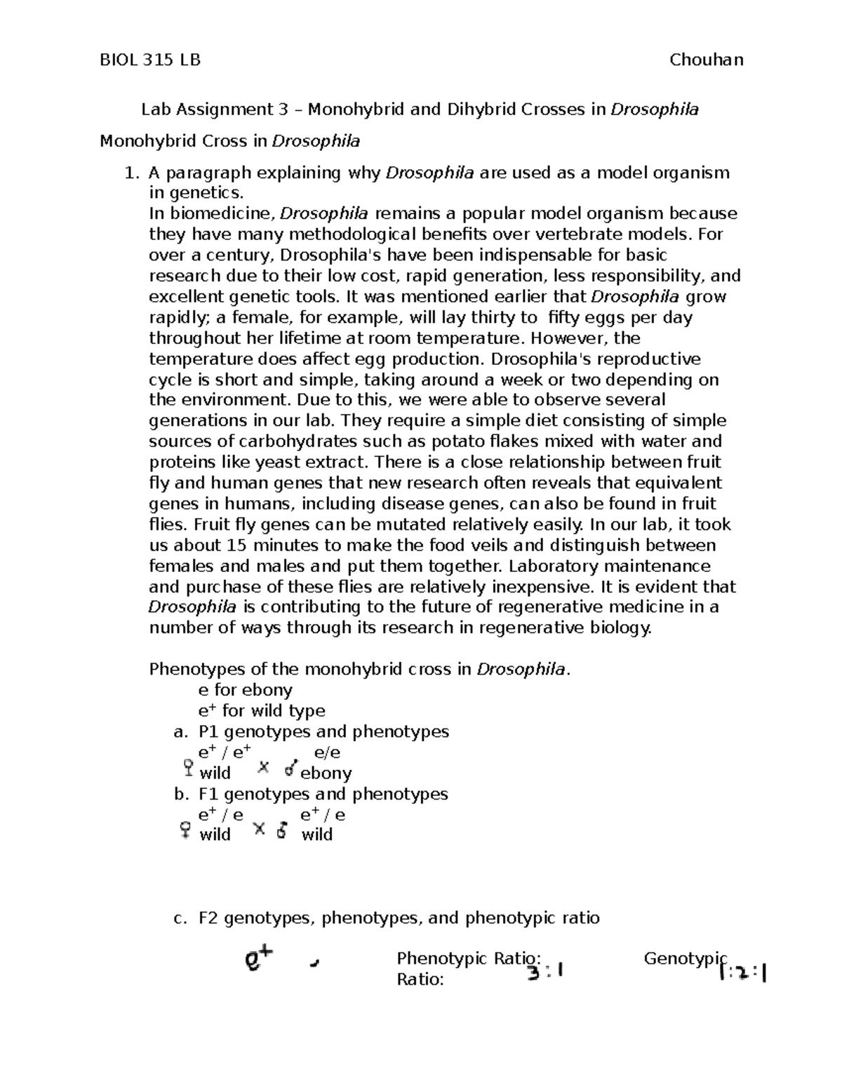 Lab Assignment 3: Monohybrid & Dihybrid Crosses in Drosophila 315 - Studocu