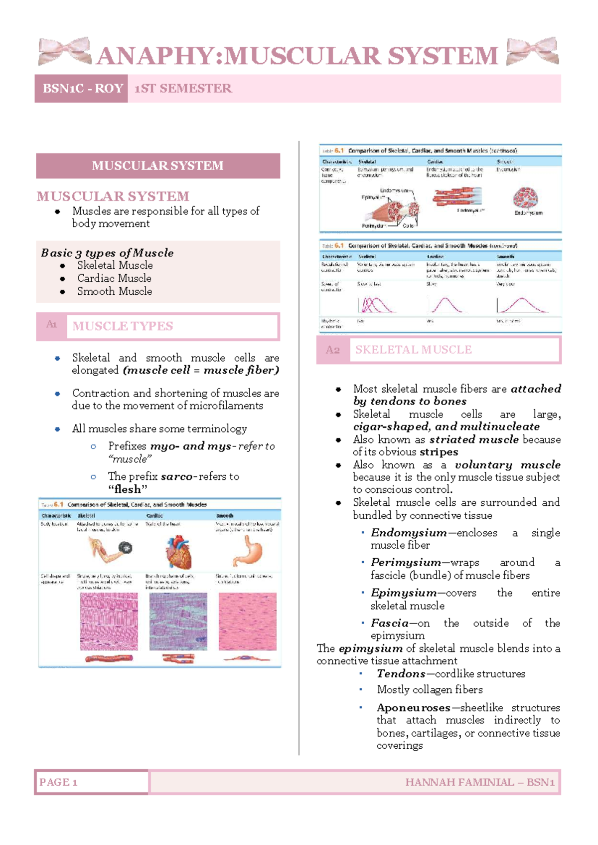 ANAPHY: MUSCULAR SYSTEM BSN1C ROY 1ST SEMESTER NOTES - Studocu