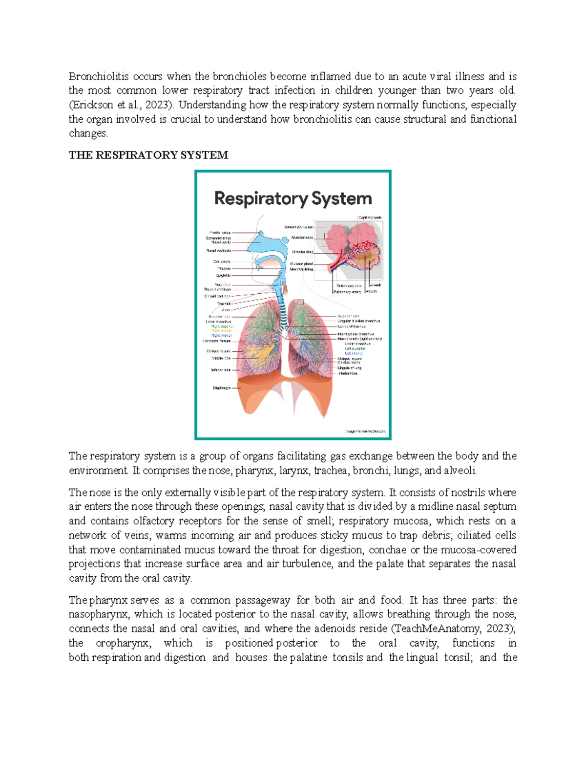 Pathophysiology of CAP-MR: Factors, Symptoms & Management Insights ...