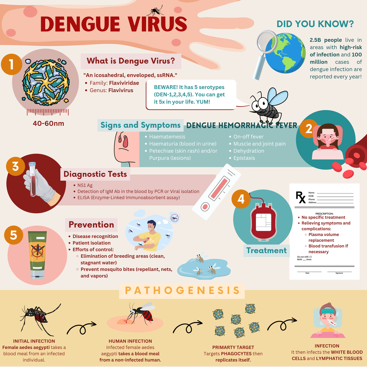 Dengue Virus Control Strategies and Key Information Poster - Studocu