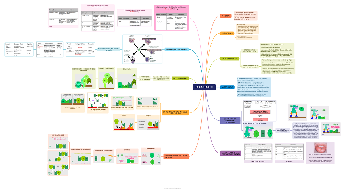 Complement Mind Map - COMPLEMENT (1) HISTORY -Discovered in 1894 by Bordet -It represents lytic ...