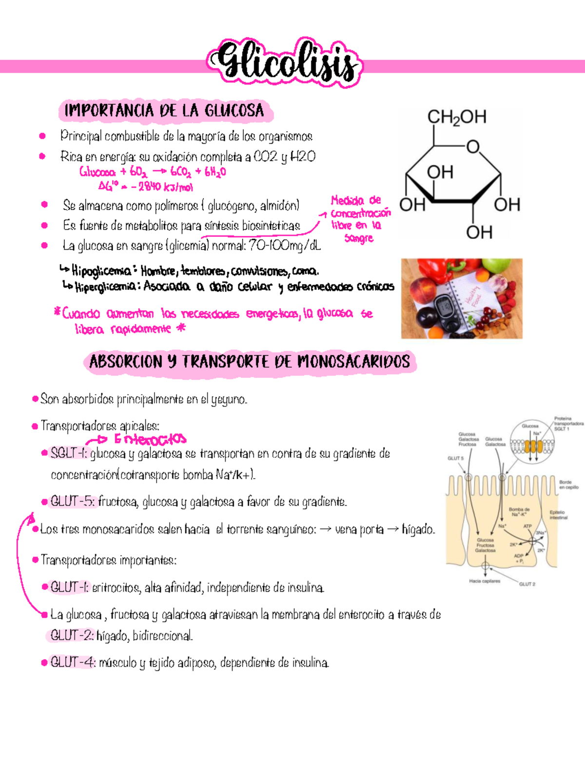 Glicólisis y Metabolismo de la Glucosa - Apuntes Bioquímica 602 - Studocu