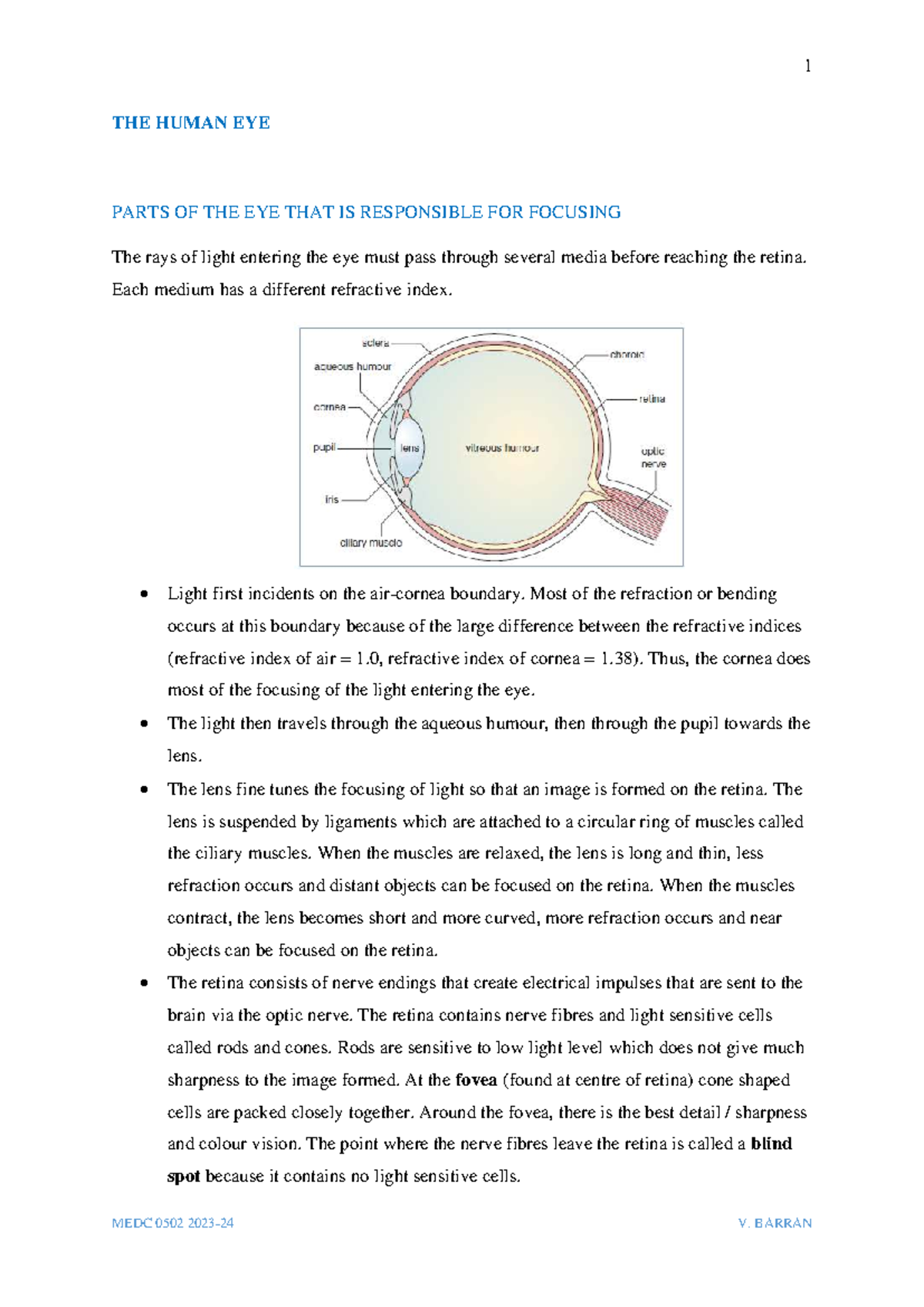 MEDC 0502 Final Exam: Understanding the Human Eye & Vision Correction ...
