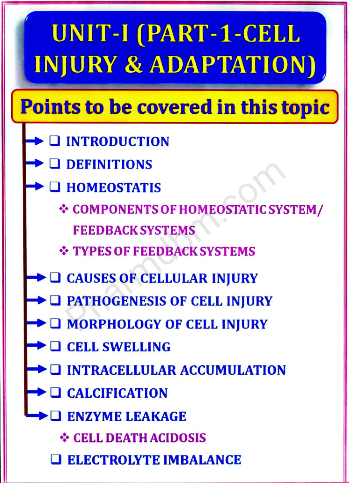 Pathophysiology Unit 1: Homeostasis, Cell Injury, and Inflammation ...
