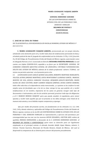 Ejemplos De Promoción Aclaración De Vista Incidente Y Apelación