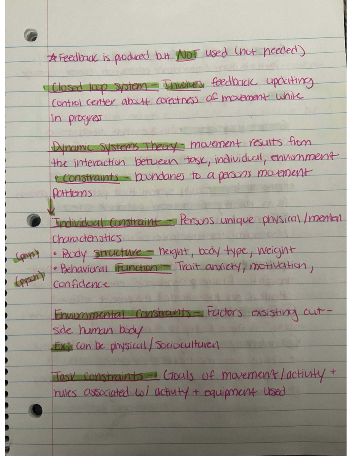 Dynamic Systems Theory: Feedback and Movement Constraints Analysis ...