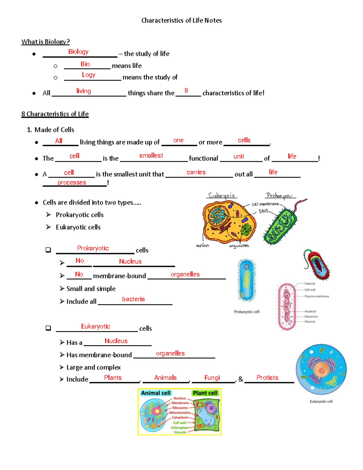 Characteristics of Life Study Notes (Biology 101) - Studocu