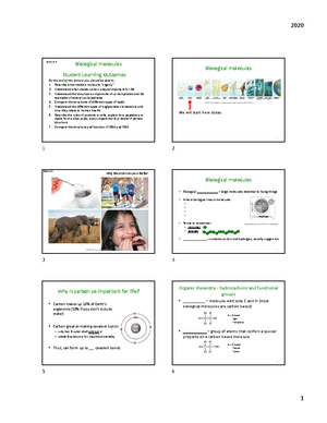 Answer Key Lab Microscopes and Cells - Lab 3: The Microscope and Cells ...