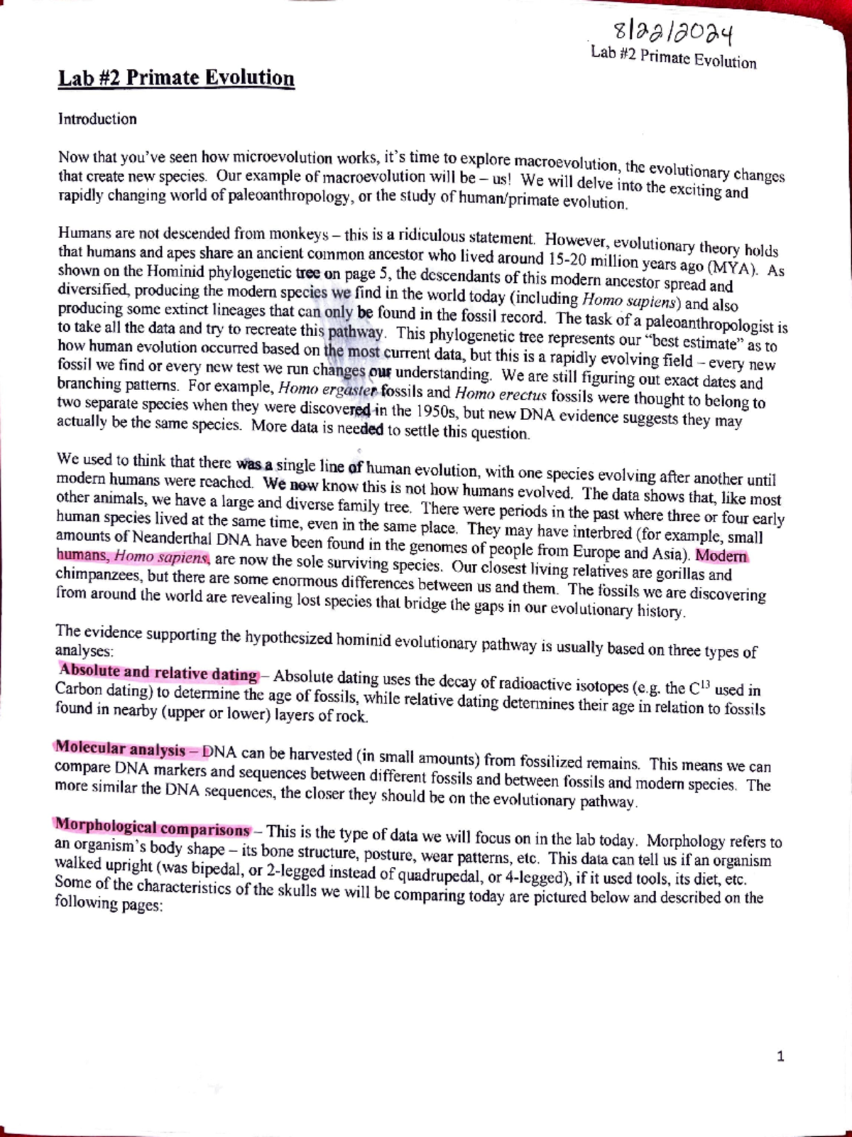Lab #2: Exploring Macroevolution & Hominid Evolution Evidence - Studocu