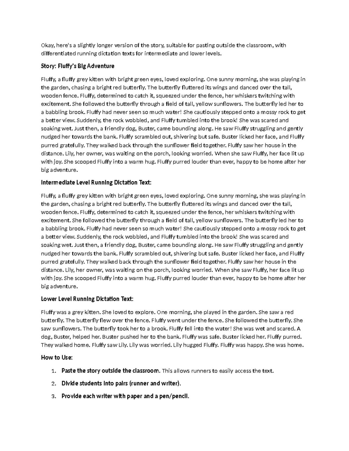 Running Dictation: Fluffy's Big Adventure for Intermediate & Lower ...