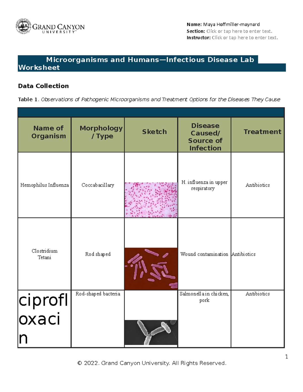 BIO-205L-RS-T6. Microorganisms & Human Infectious Diseases Lab ...