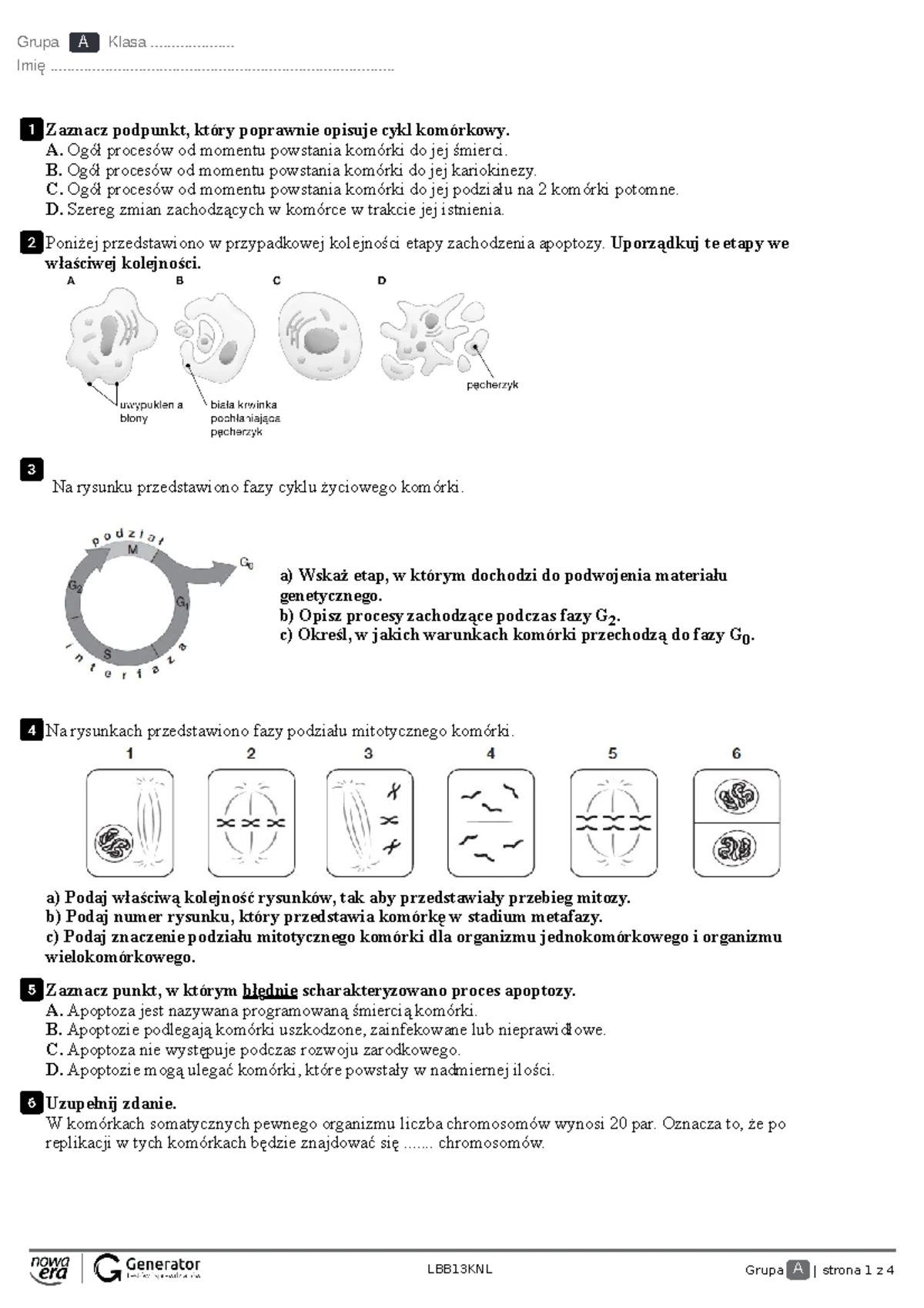Mitoza mejoza cykl - LBB13KNL Grupa A | strona 1 z 4 Grupa A Klasa ...