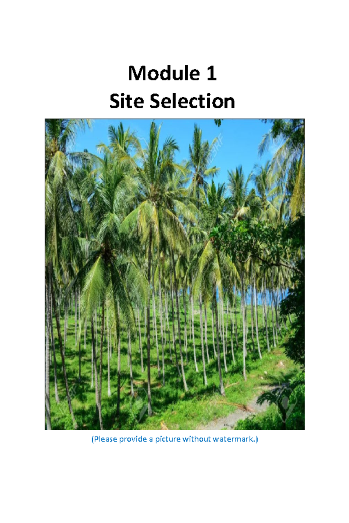 Abaca Production: Site Selection and Seed Propagation Guide - Studocu