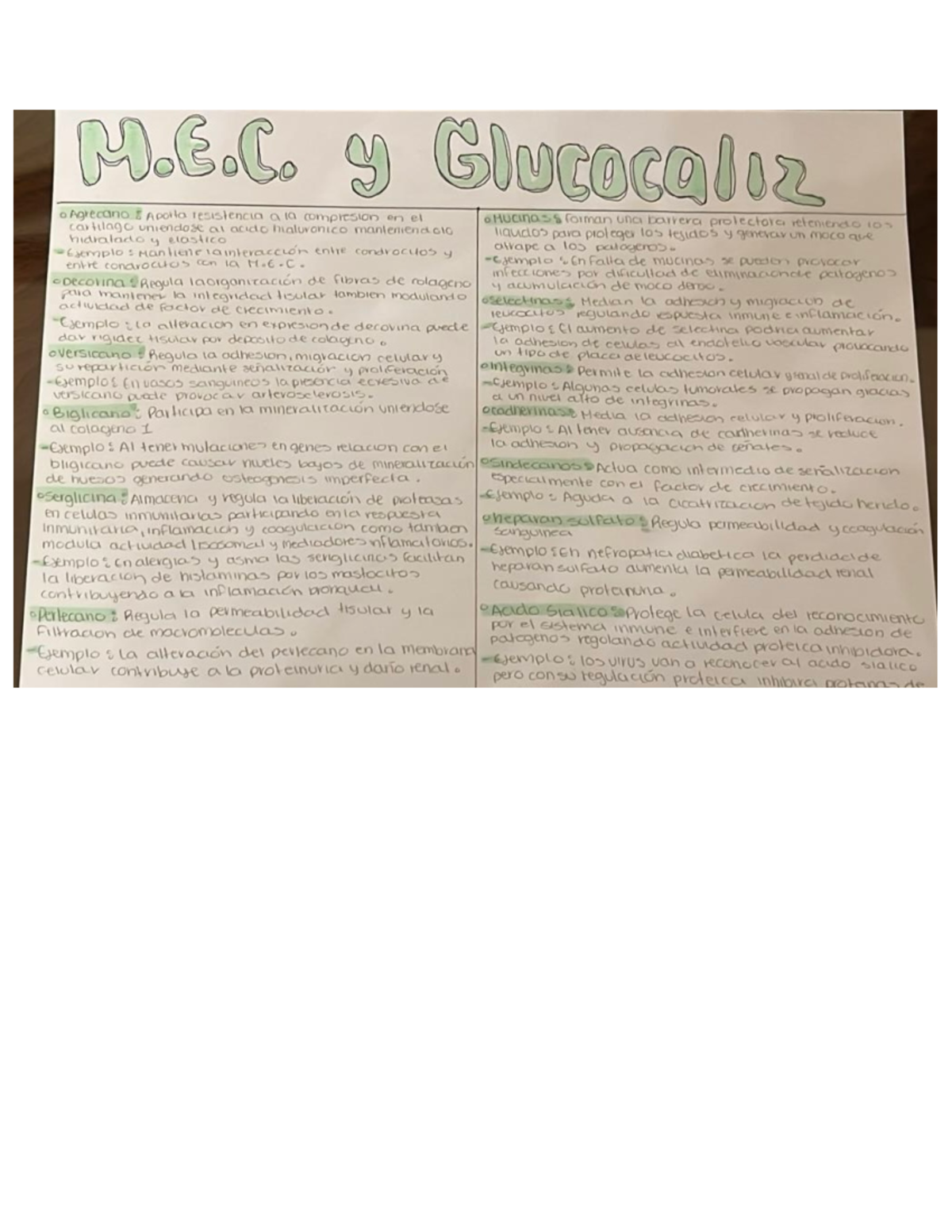 Doc1 - Descripción MEC - M.C. Glucocalez Agrecano g Aporta resistencia ...