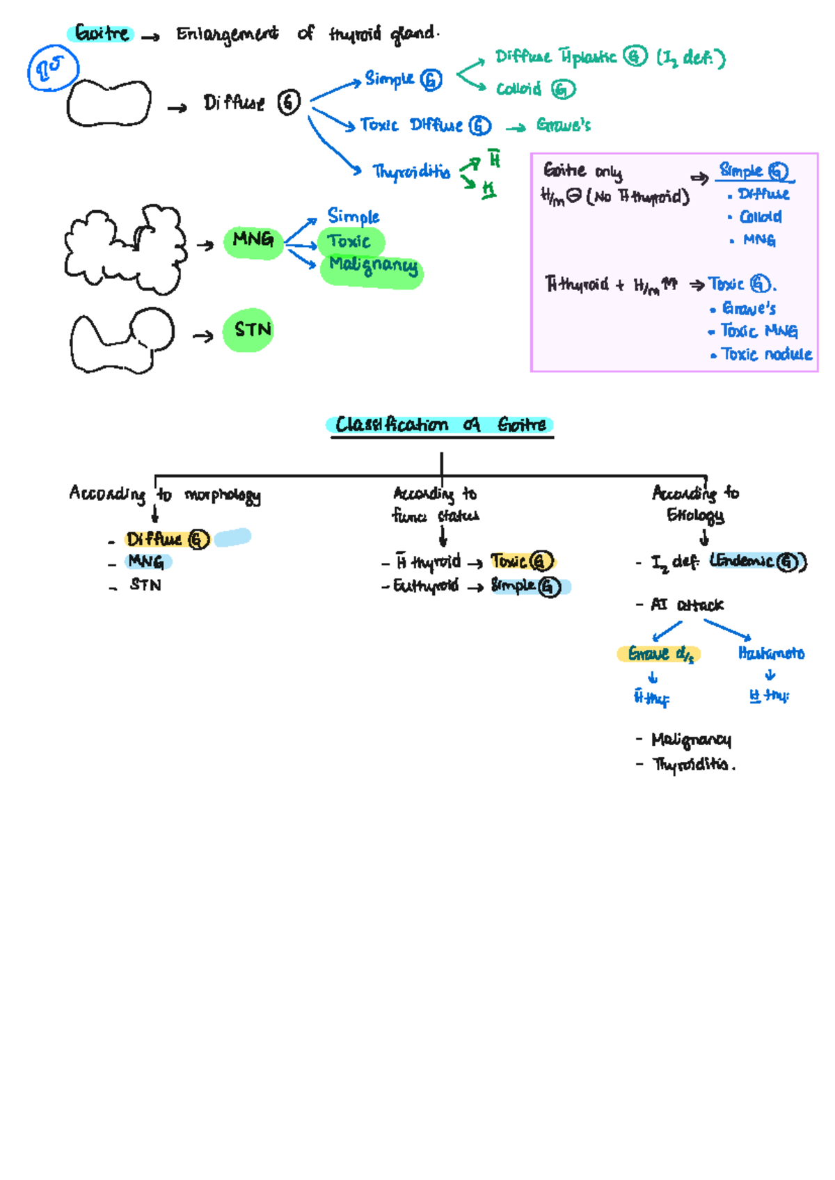 Thyroid - Notes on Goitre Types and Associated Conditions - Studocu