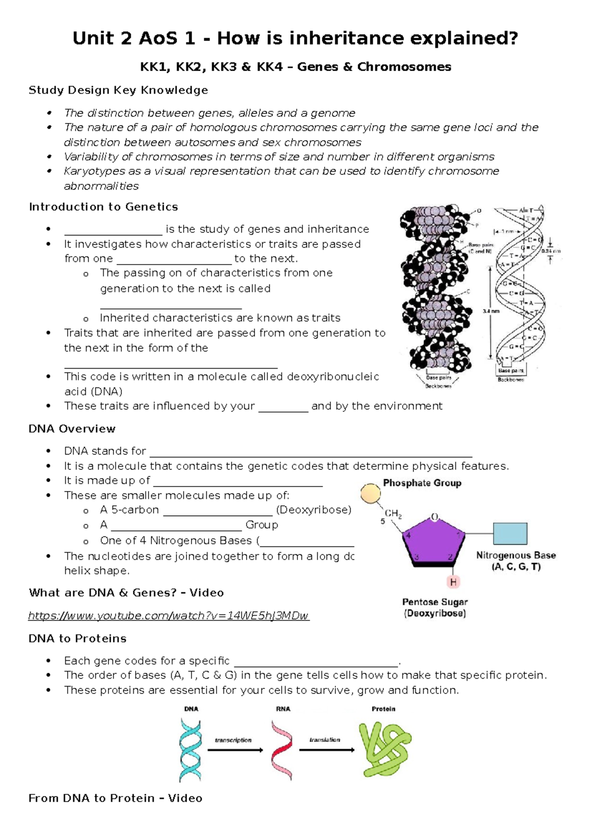 Unit 2 AoS 1 Genetics: Inheritance, Genes, and Chromosomes Study Notes ...