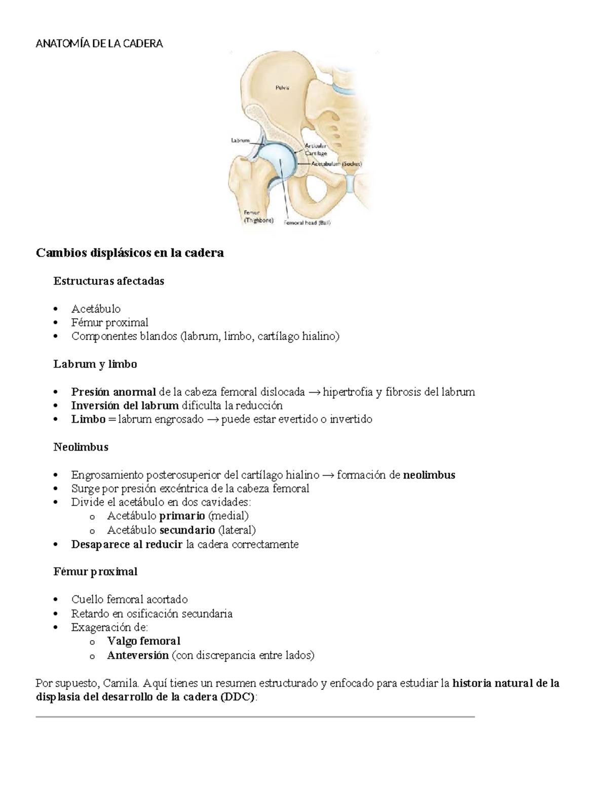 ANATOMÍA DE LA CADERA: Displasia y Cambios Estructurales - Studocu