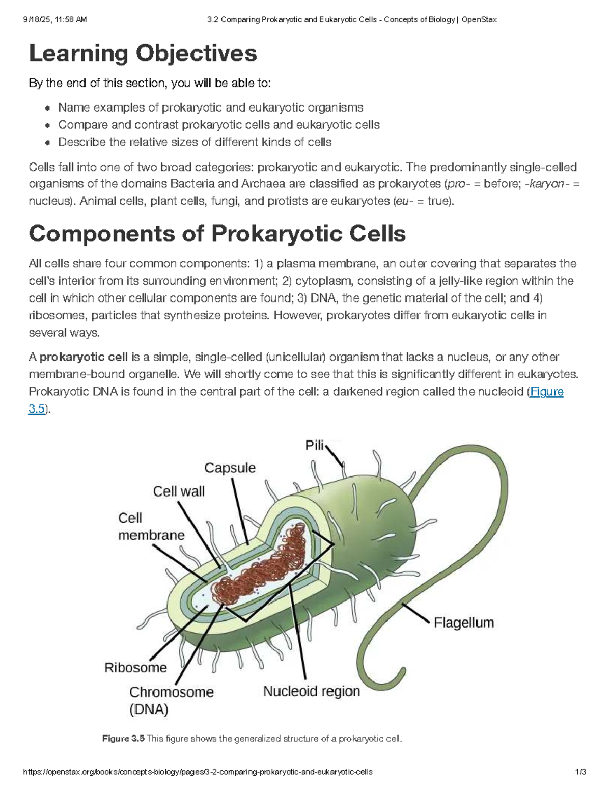 Comparing Prokaryotic and Eukaryotic Cells - Concepts of Biology (3.2 ...