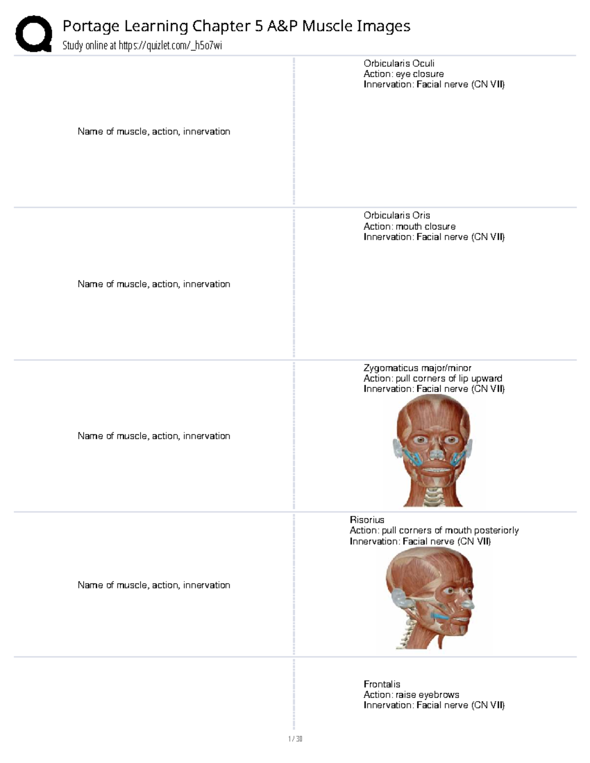 Portage Learning Quizlet Exam 5: Muscular System Flashcard Study Guide ...