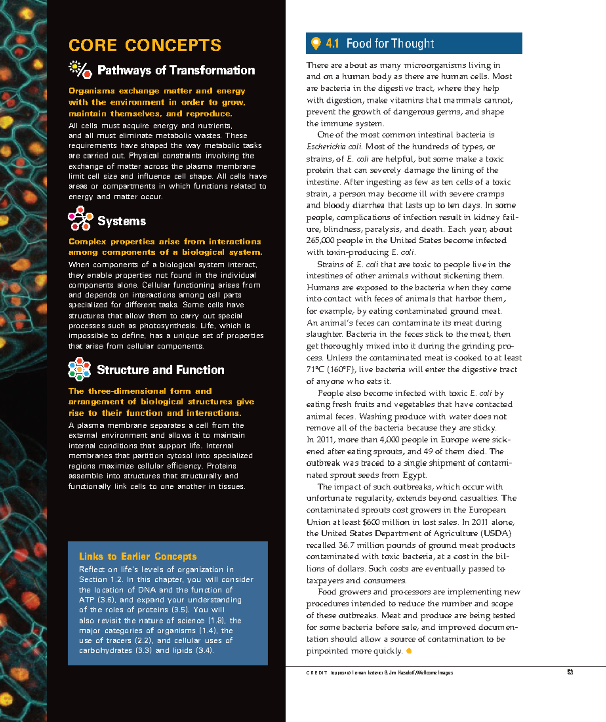 Chapter 4: Cell Structure and Function in Biology (BIO 101) - Studocu