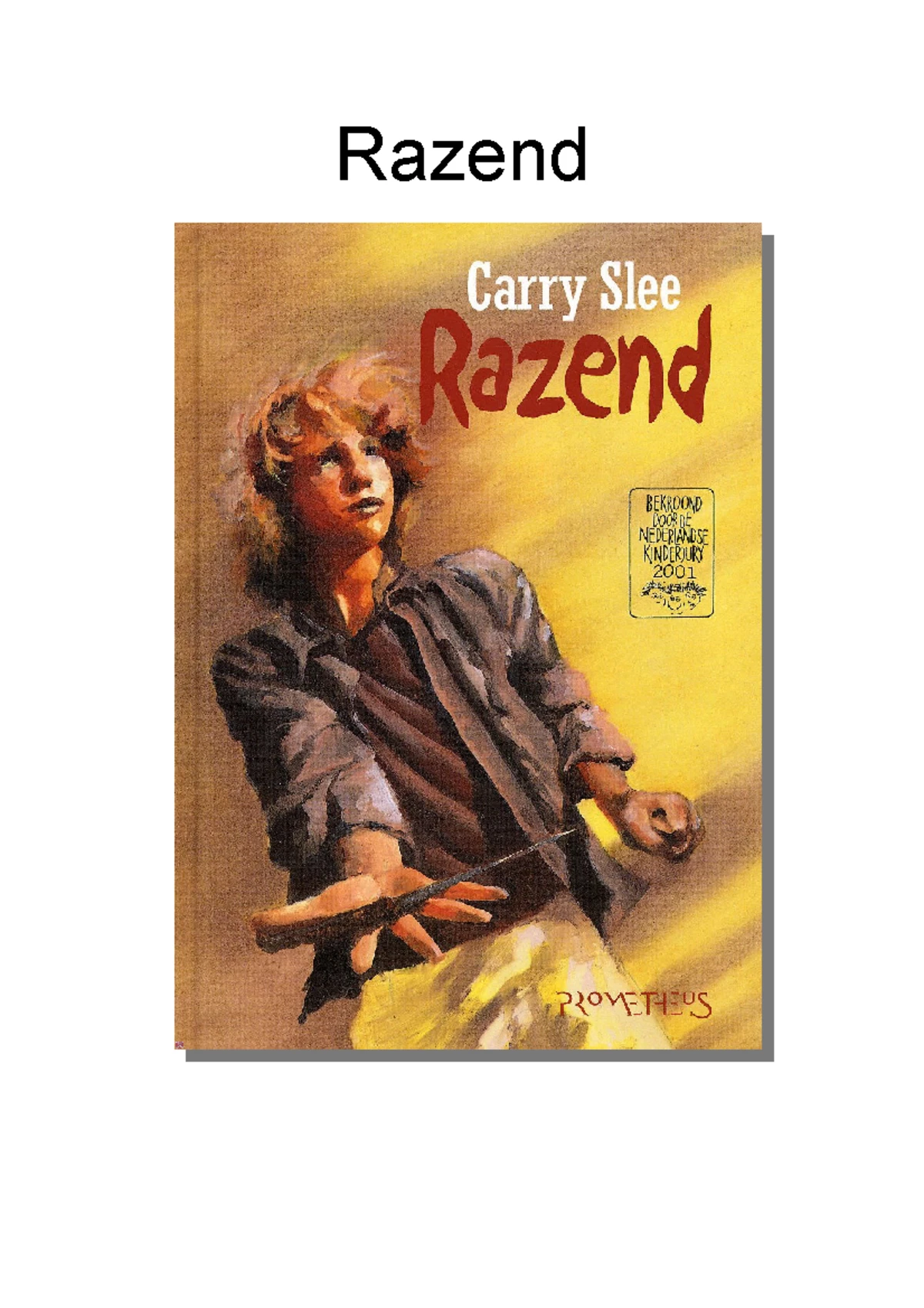 Richtlijnen voor het Schrijven van een Betoog: Structuur en Tips ...