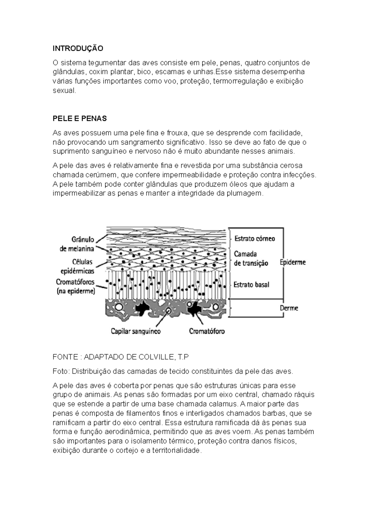 Trabalho Escrito - Anatomia do Sistema Tegumentar em Aves - Studocu