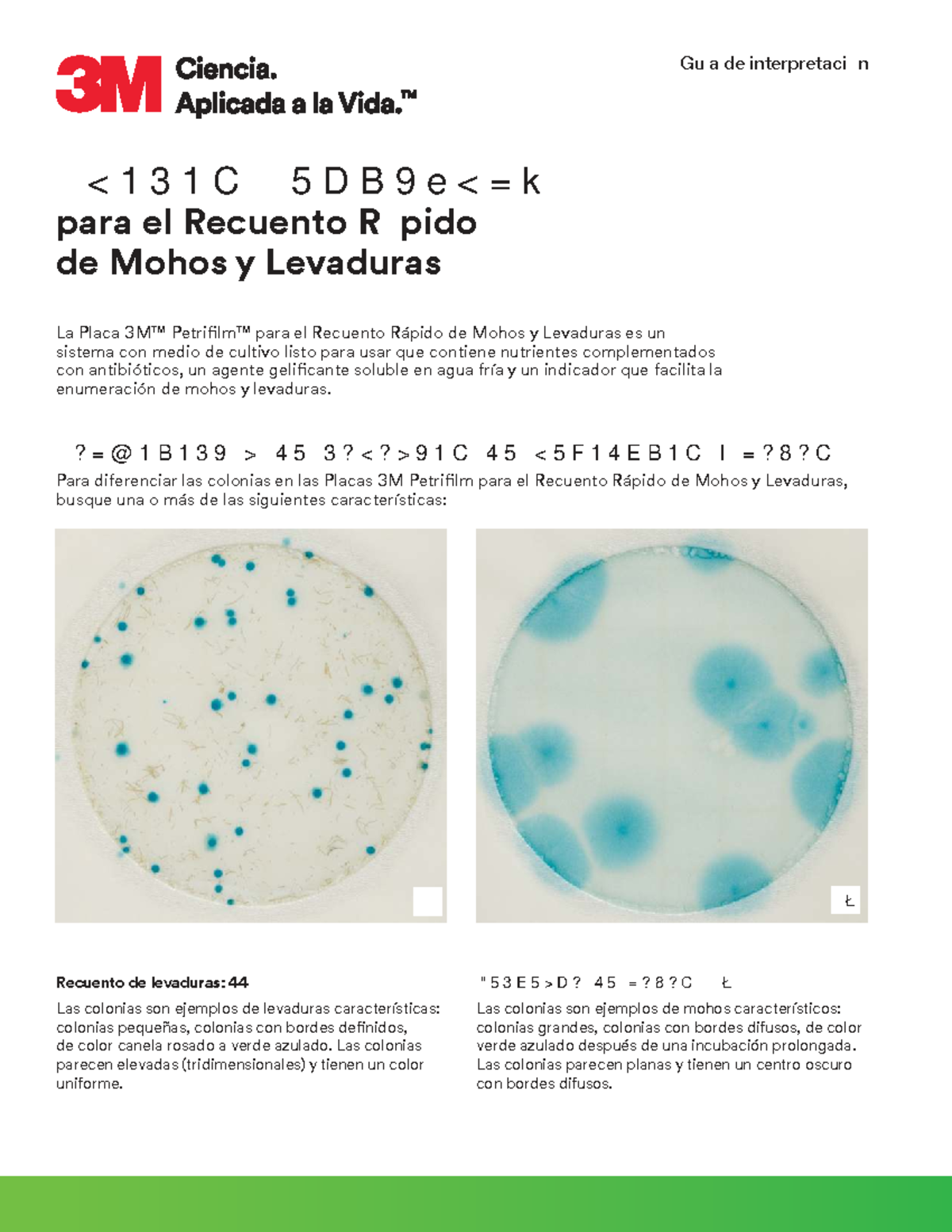Guía de Interpretación de Placas 3M para Recuento Rápido de Mohos y Levaduras - Studocu