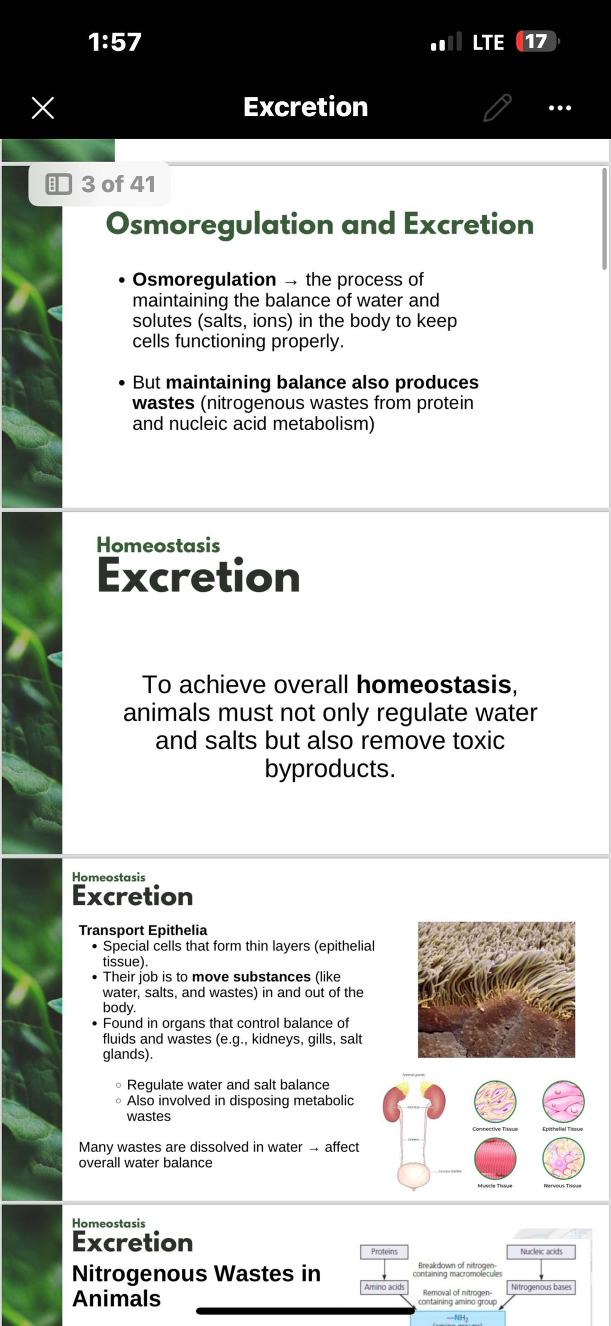 Final Exam Study Notes on Osmoregulation & Excretion (ABC123) - Studocu